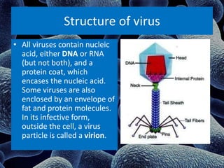 Bacteria and viruses | PPTX