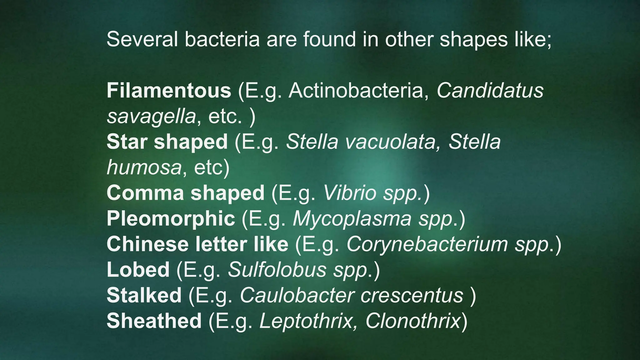 bacteria and viruses.pptx