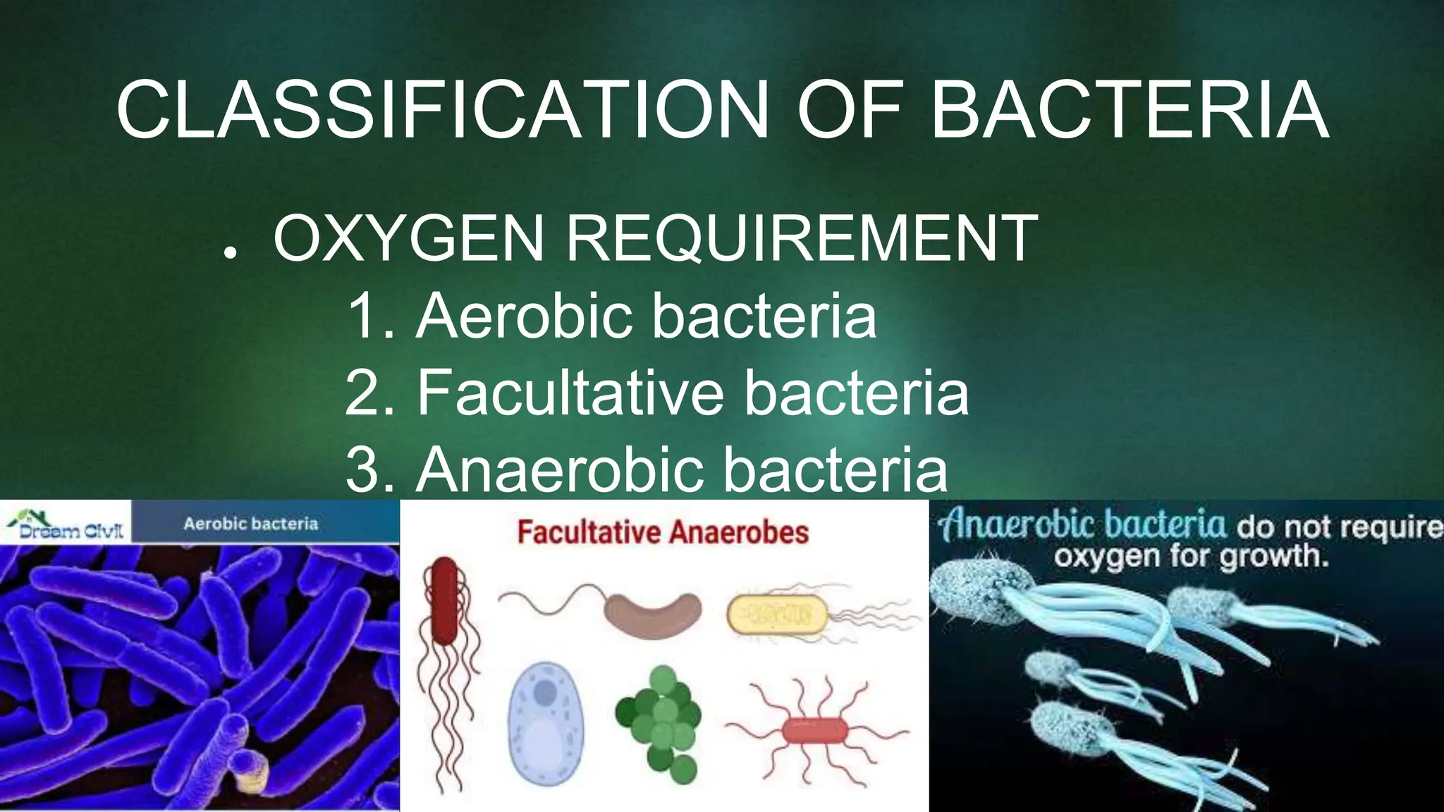 bacteria and viruses.pptx
