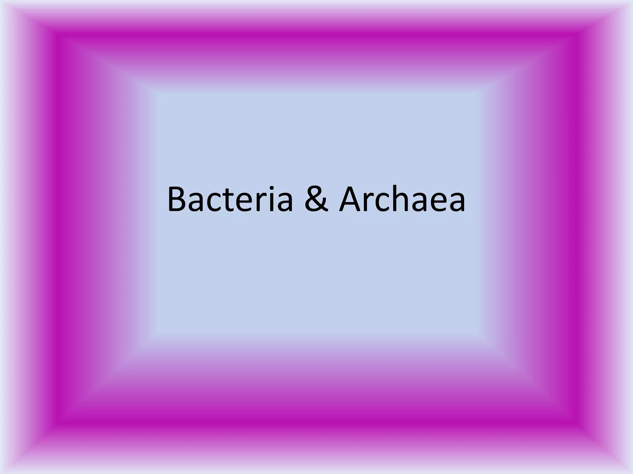 Bacteria & archaea example organisms power point | PPTX