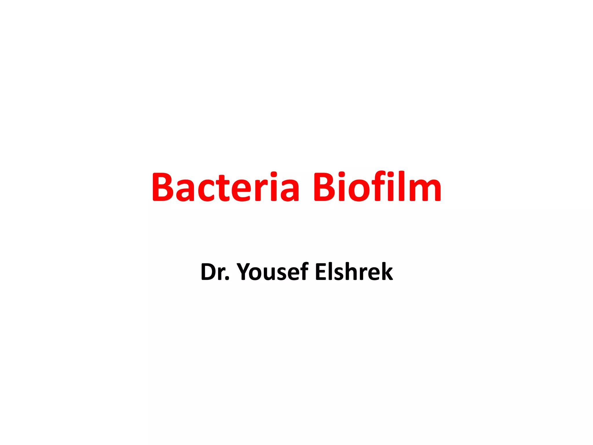 Bacteria biofilm | PDF