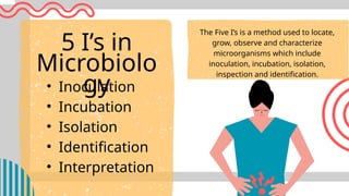 Enhancing Microbiology Through Automation and the 5 I’s: A Modern ...