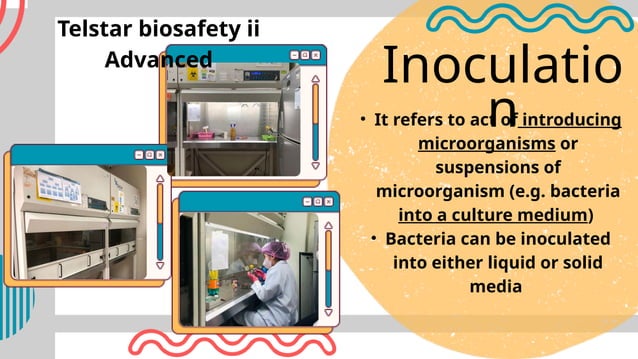 Enhancing Microbiology Through Automation and the 5 I’s: A Modern ...