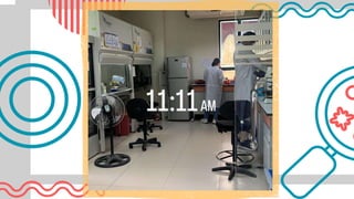 Enhancing Microbiology Through Automation and the 5 I’s: A Modern ...