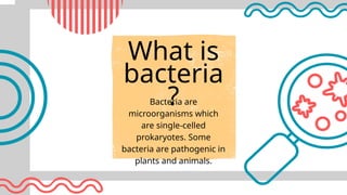 Bacteria Biology Presentation in a Bold Colorful Style.pptx