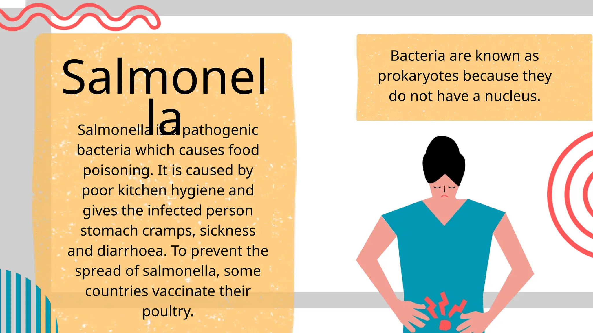 Bacteria Biology Presentation in a Bold Colorful Style.pptx