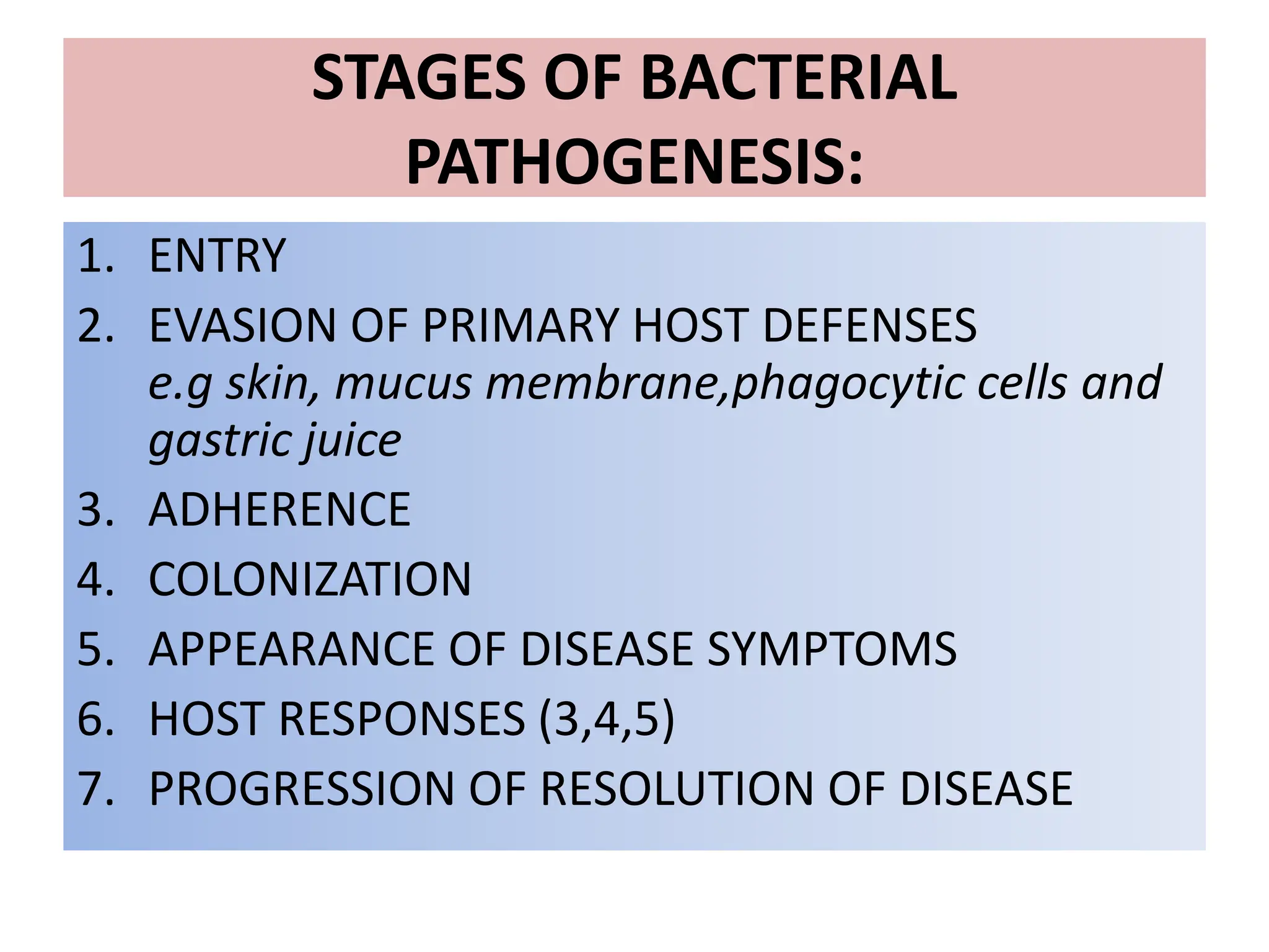 BACTERIA BY TAQWA GHAYAS.pptx Its about | PPTX
