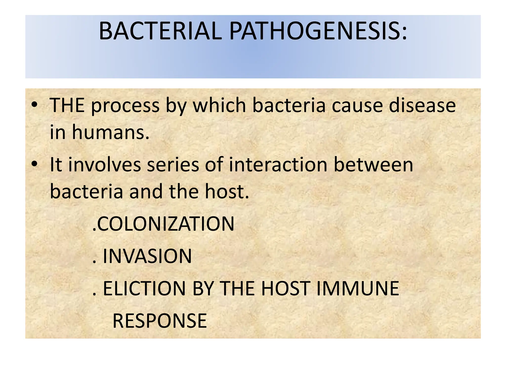 BACTERIA BY TAQWA GHAYAS.pptx Its about | PPTX