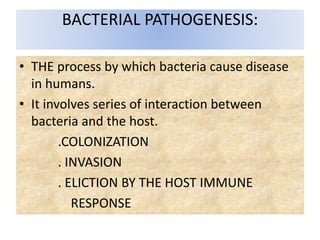 BACTERIA BY TAQWA GHAYAS.pptx Its about | PPTX