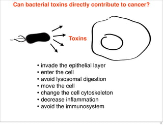 Bacteria&cancer biomed dec_2013 | PDF