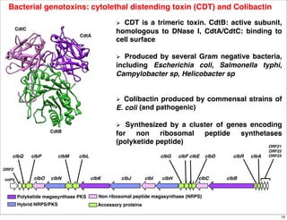 Bacteria&cancer biomed dec_2013 | PDF
