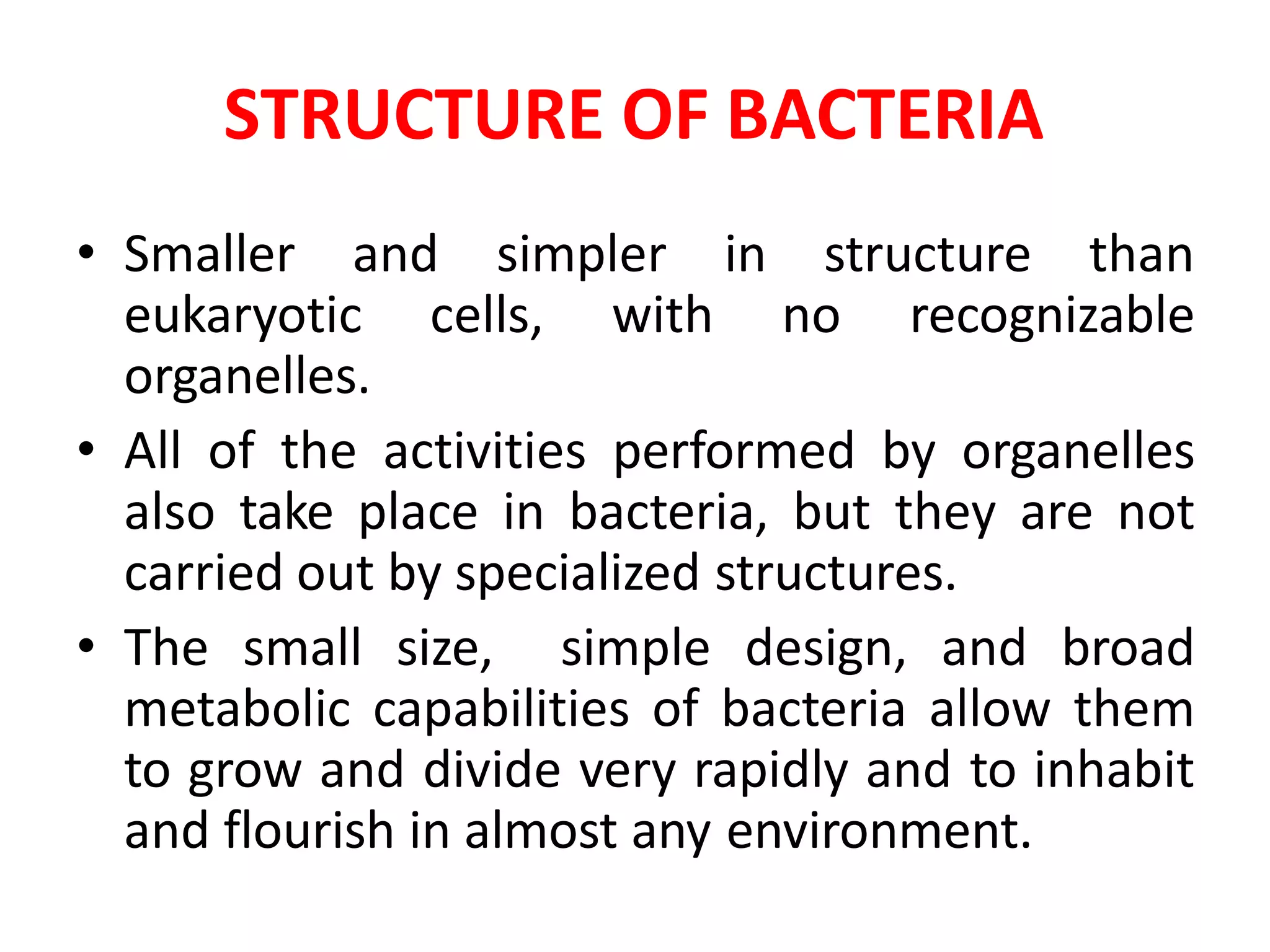 Bacteria cell structure | PPTX