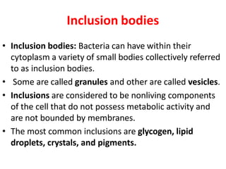 Bacteria cell structure | PPTX