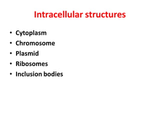 Bacteria cell structure | PPTX