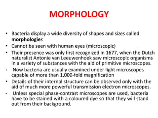Bacteria cell structure | PPTX