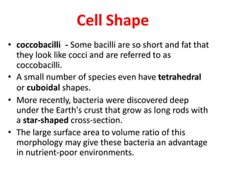 Bacteria cell structure | PPTX