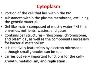 Ppt Bacterial Cell Structure Continued Powerpoint