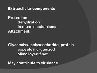 Bacteria cell structure and function | PPT