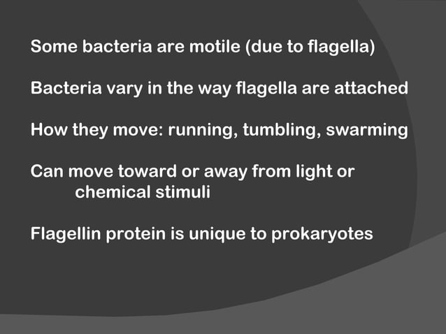 Bacteria cell structure and function | PPT | Biological Sciences | Science