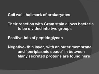 Bacteria cell structure and function | PPT