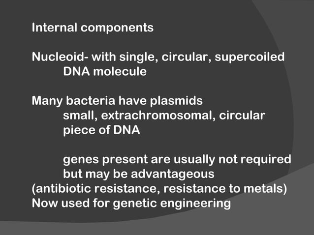 Bacteria cell structure and function | PPT | Biological Sciences | Science