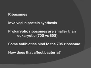 Bacteria cell structure and function | PPT