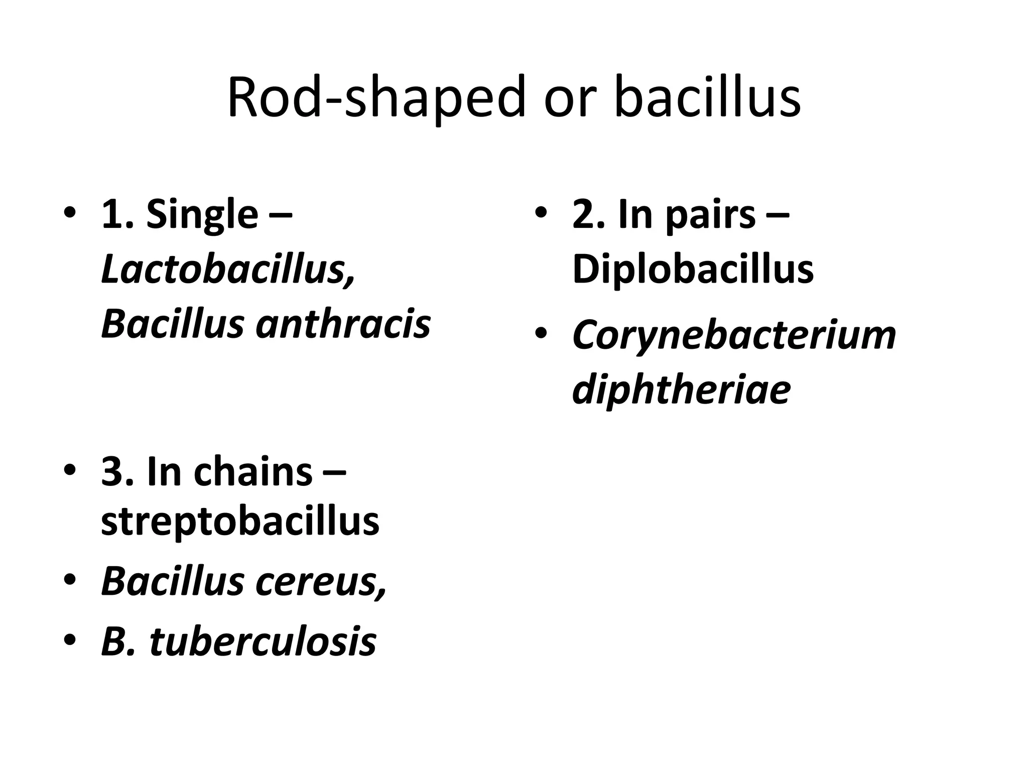 Bacteria - General characteristics | PPTX