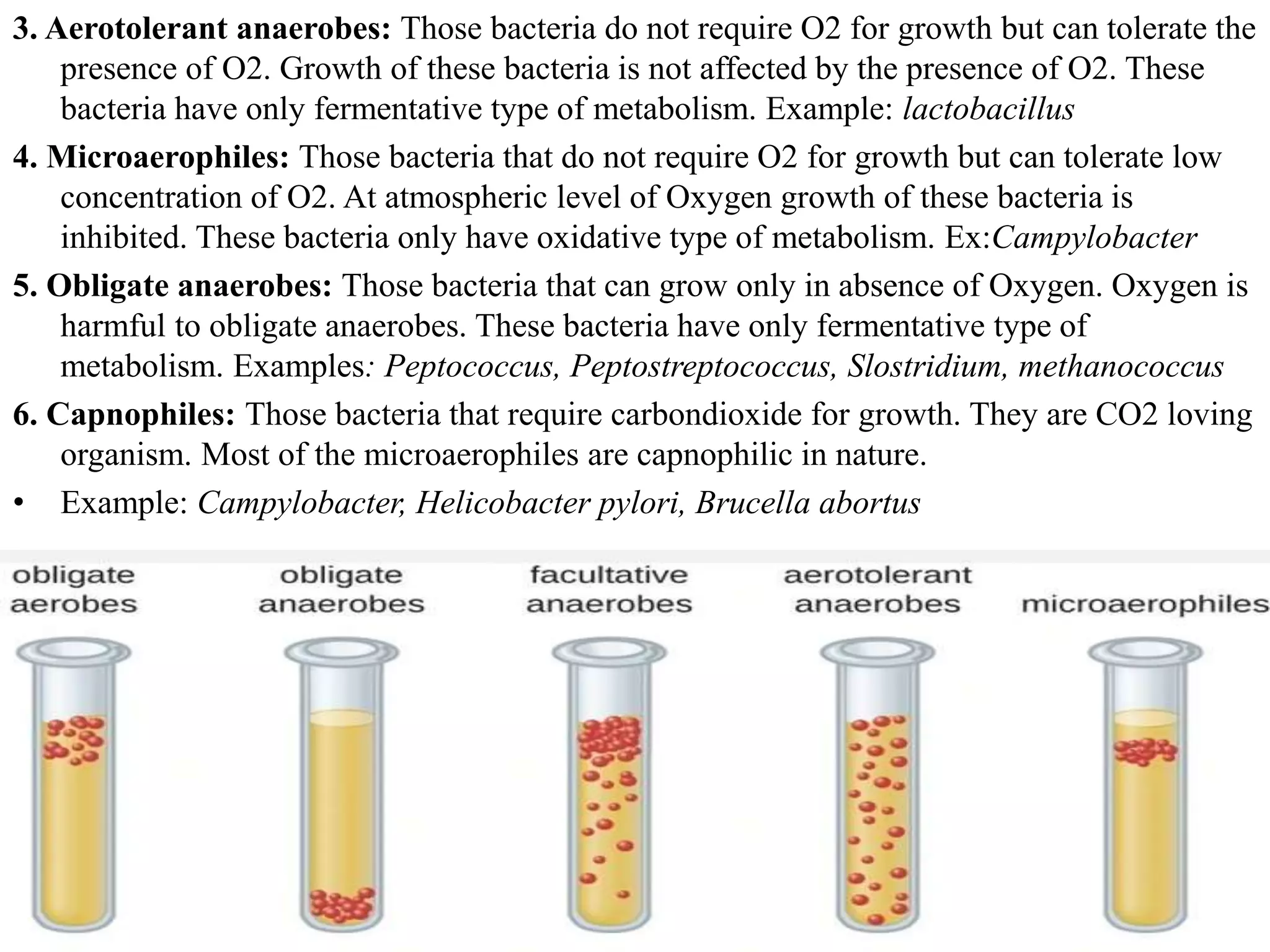 Bacteria and its classification. Microbiology | PPTX