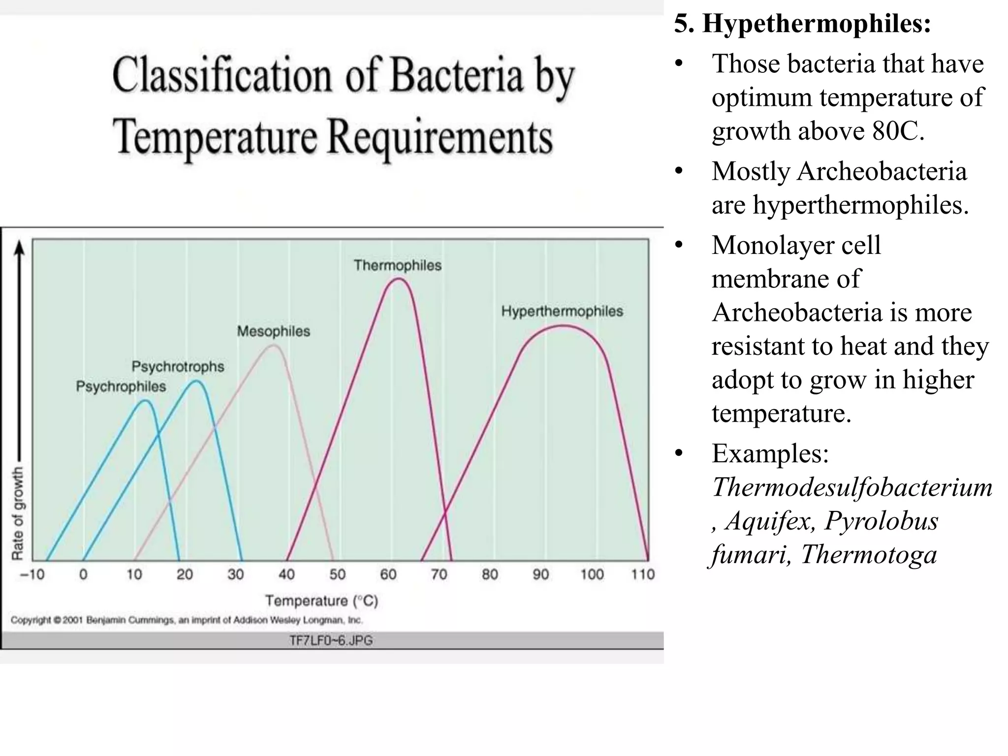 Bacteria and its classification. Microbiology | PPTX