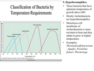 Bacteria and its classification. Microbiology | PPTX