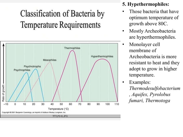 Bacteria and its classification. Microbiology | PPTX | Food & Drink
