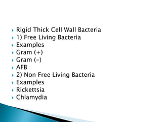 Bacteria classification | PPTX