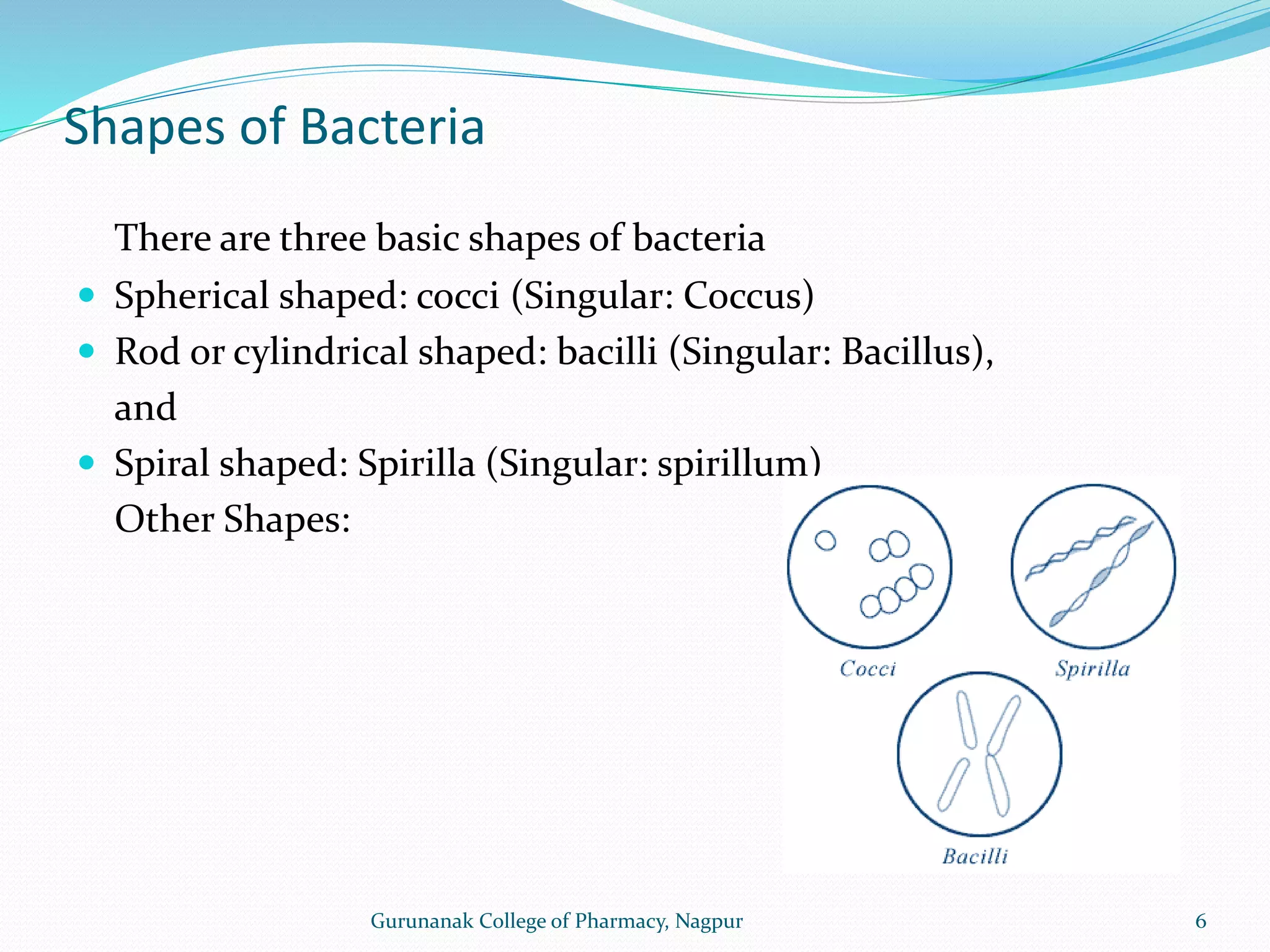 bacteriaclassificationandnutrition-210930074245.pdf