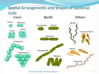 bacteriaclassificationandnutrition-210930074245.pdf