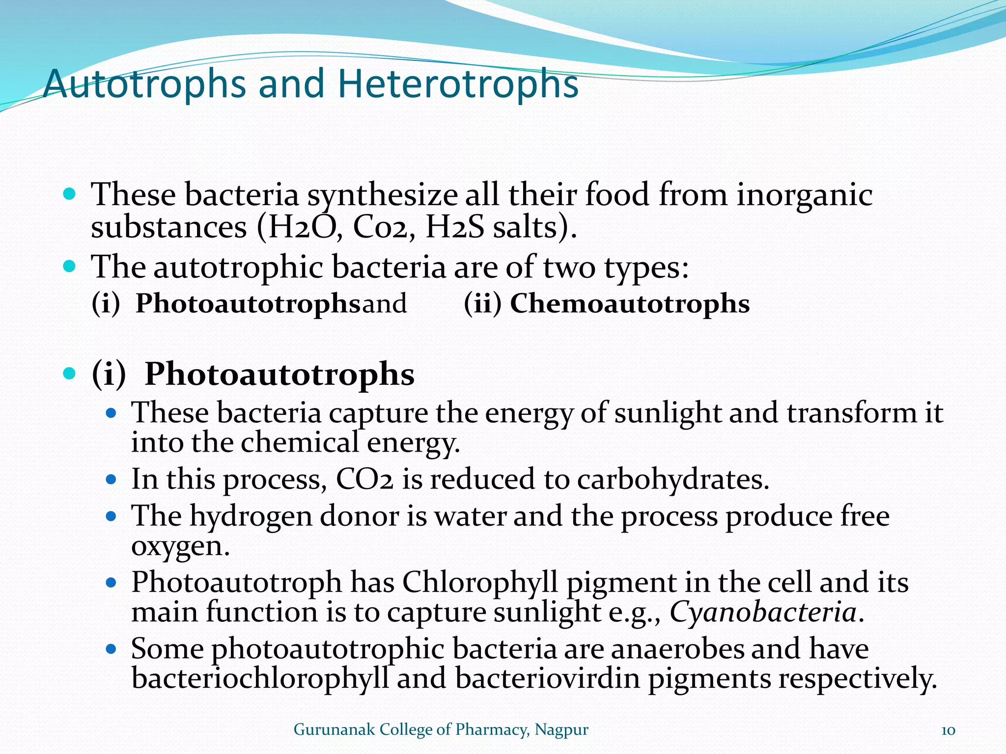 Bacteria classification and nutrition | PPTX