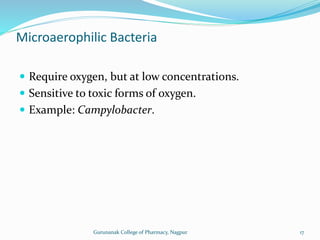 Bacteria classification and nutrition | PPTX