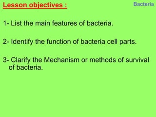 Bacteria_Demo.ppt