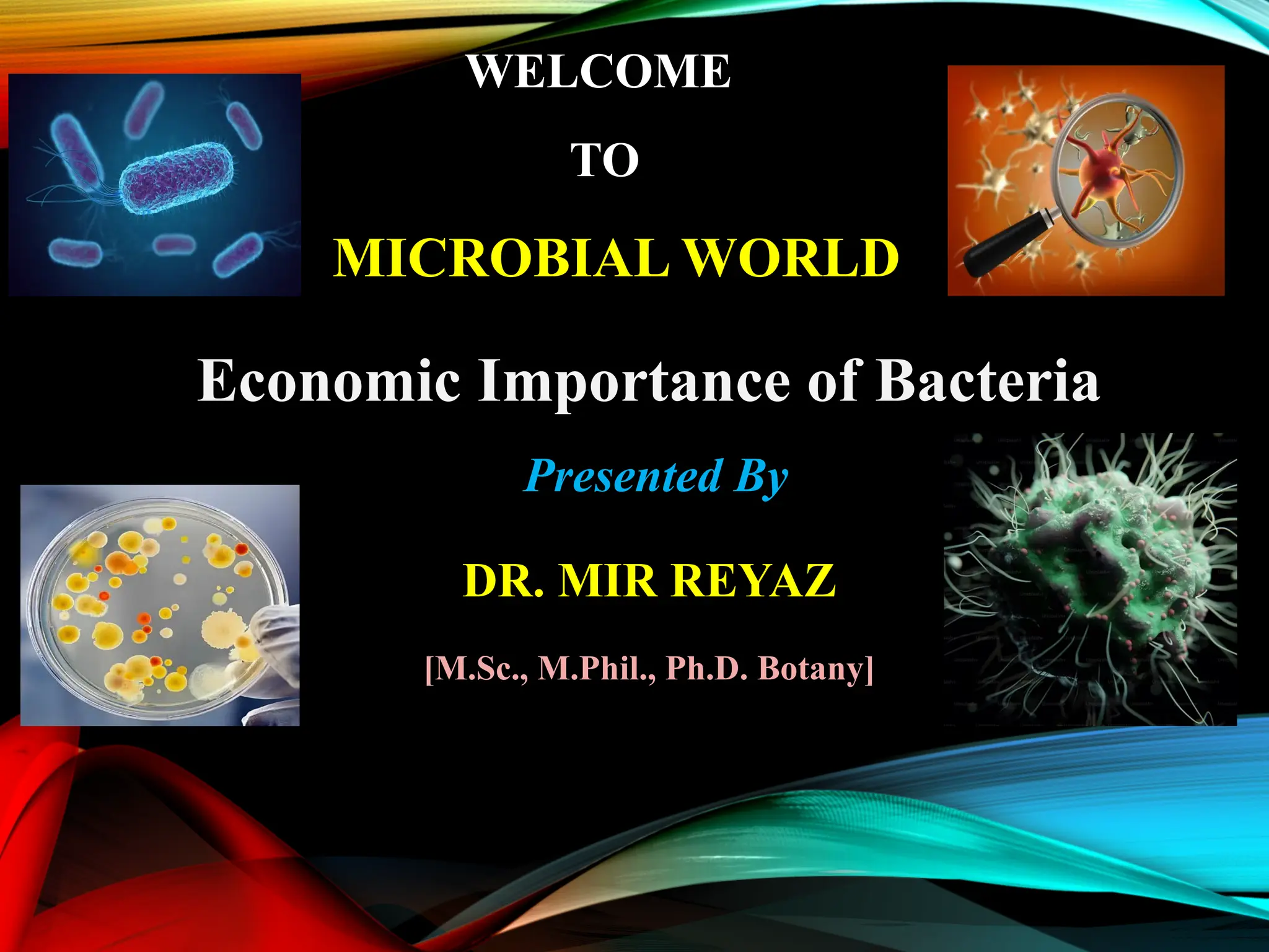 Bacteria economic importance in detail .pptx