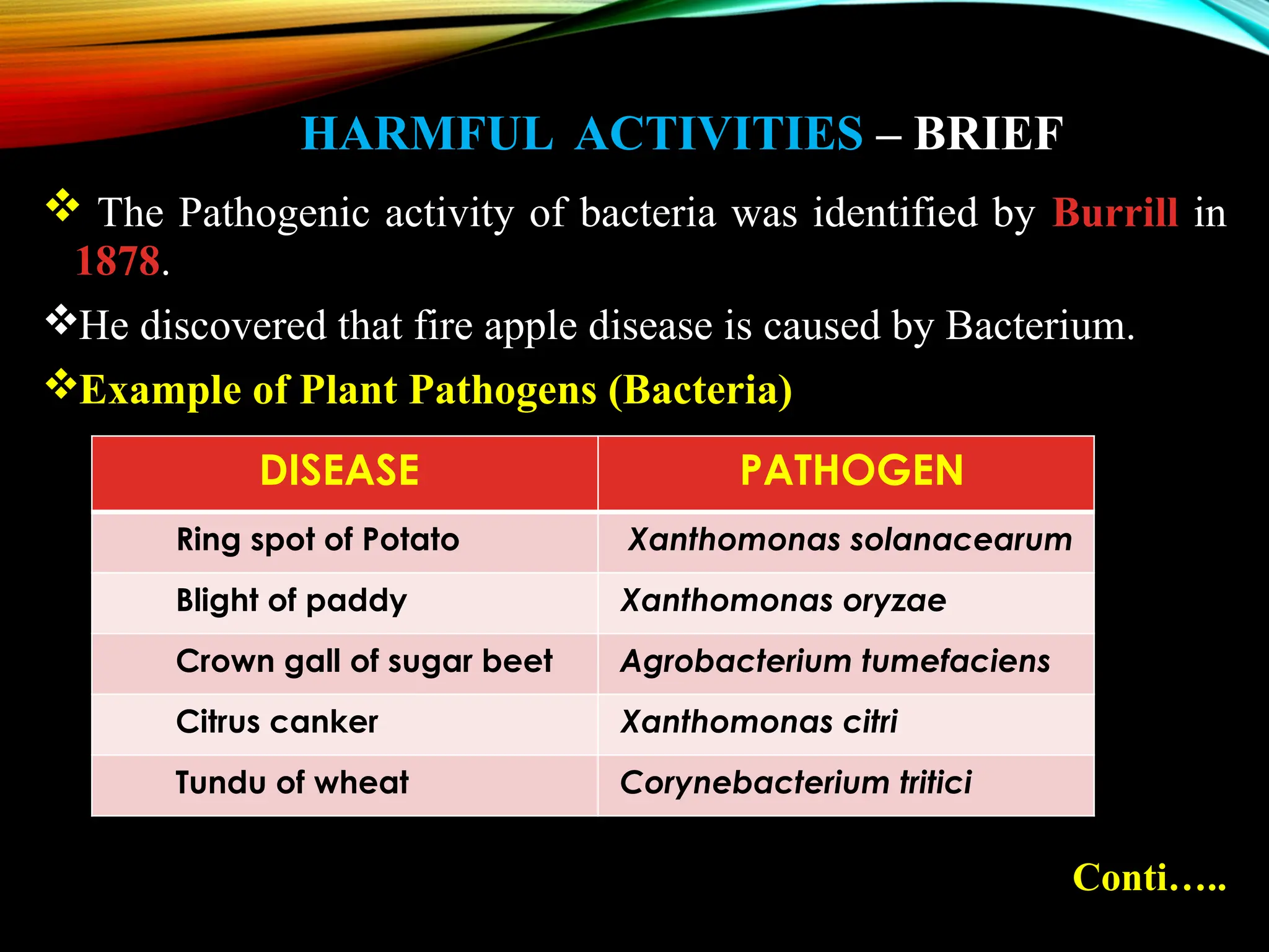 Bacteria economic importance in detail .pptx
