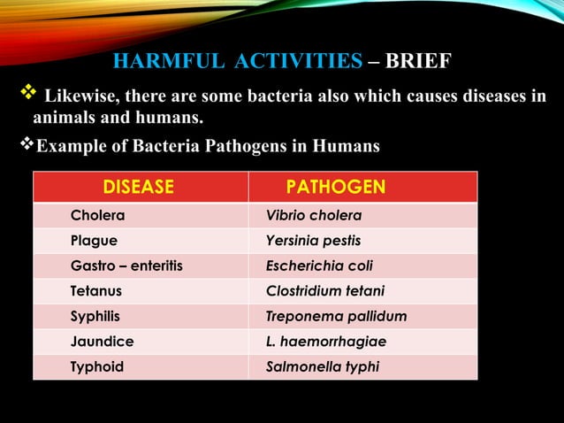 Bacteria economic importance in detail .pptx