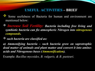 Bacteria economic importance in detail .pptx
