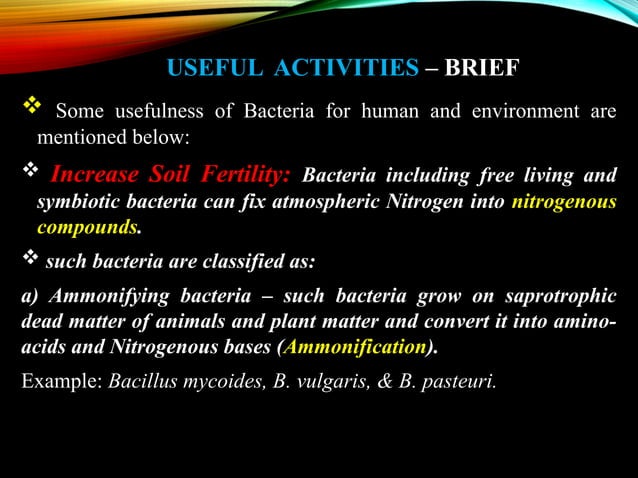 Bacteria economic importance in detail .pptx