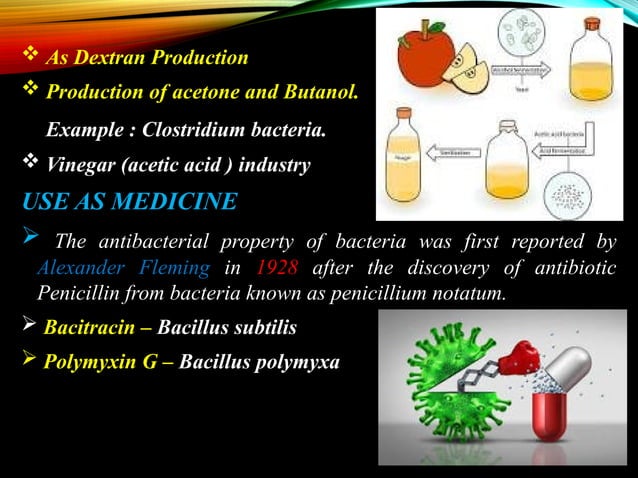 Bacteria economic importance in detail .pptx