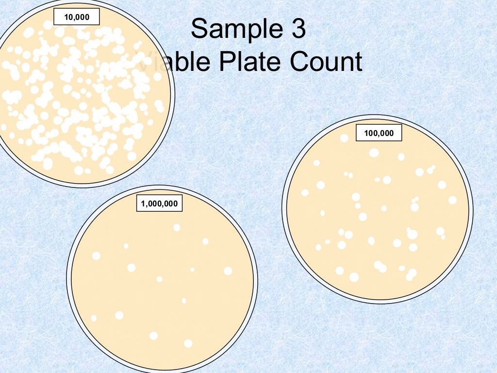 Bacteria enumeration