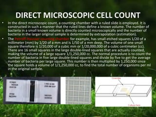 Bacteriaenumeration | PPT