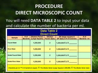 Bacteriaenumeration | PPT