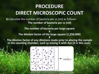 Bacteriaenumeration | PPT