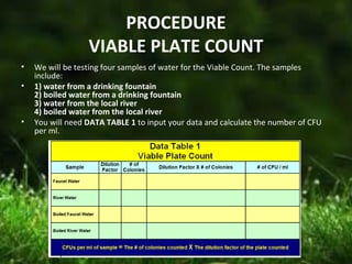 Bacteriaenumeration | PPT