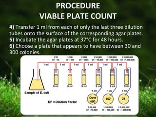 Bacteriaenumeration | PPT