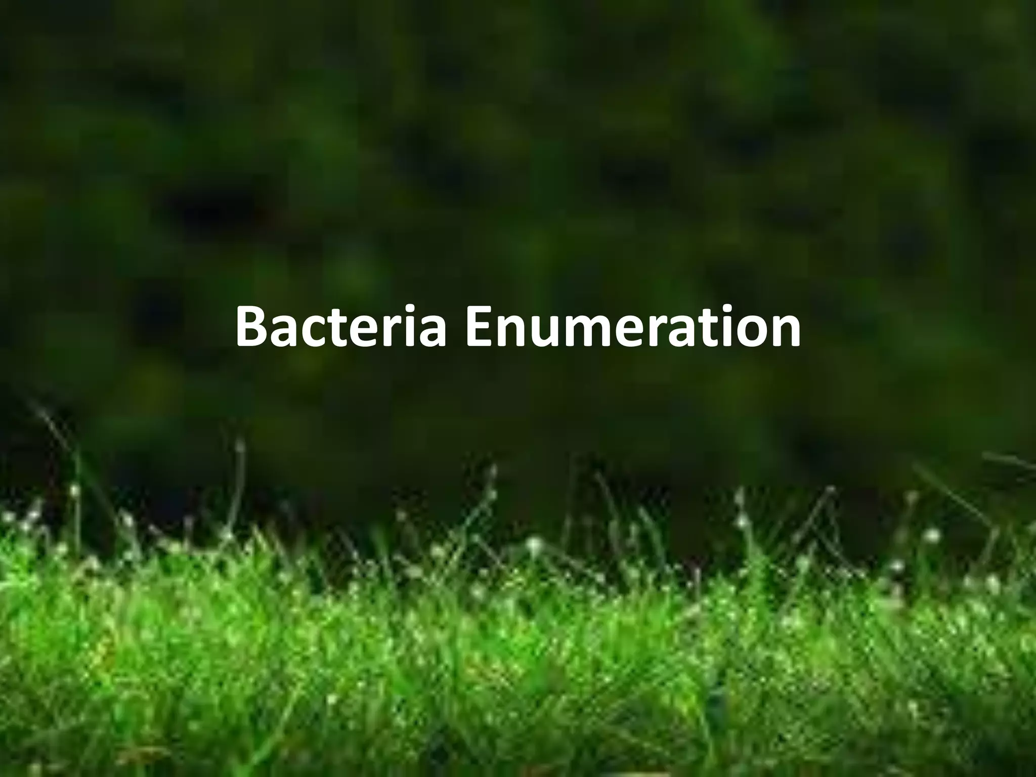 Bacteria enumeration | PPTX